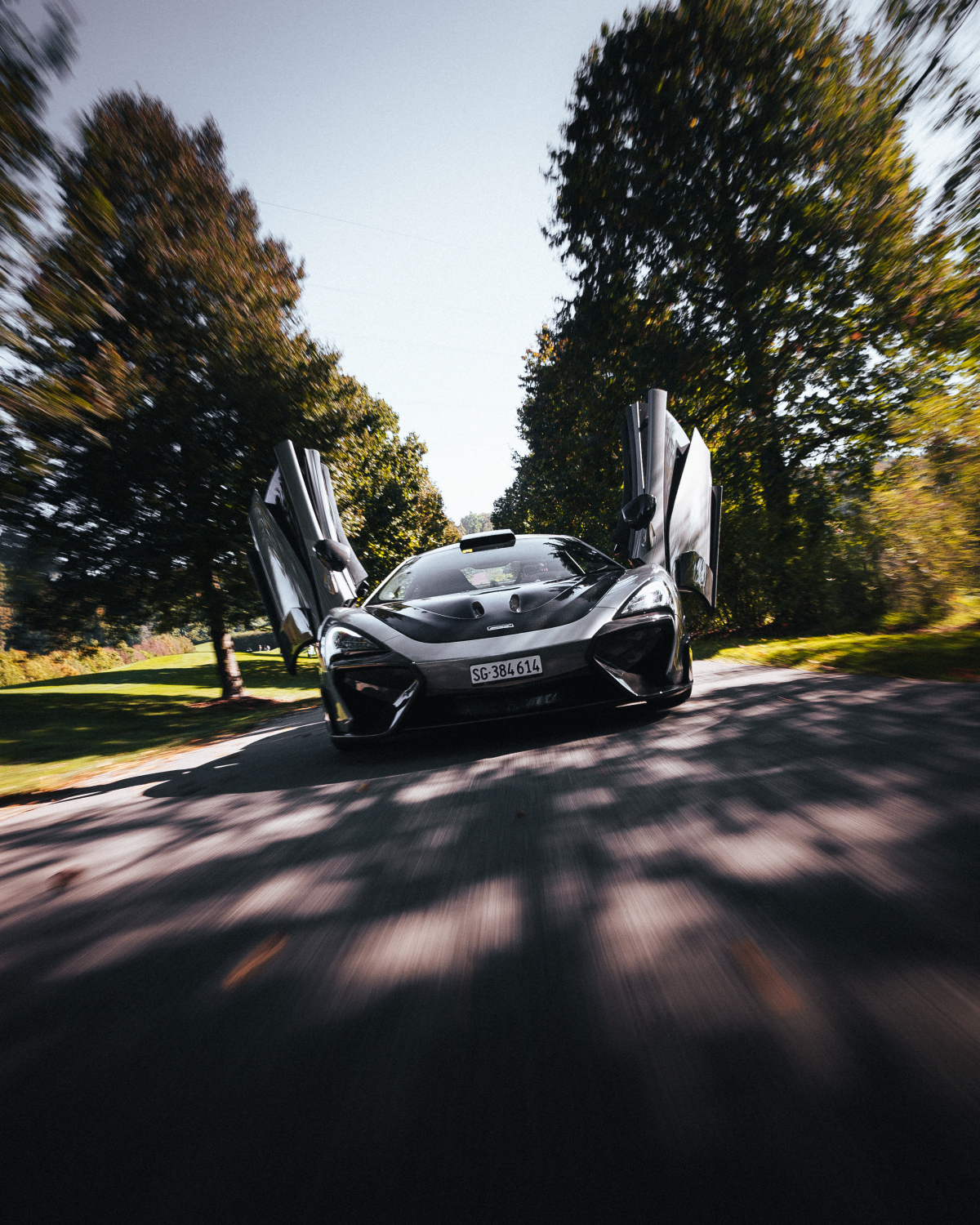 DSC00707.jpg and 11 other files | Failiem.lv.